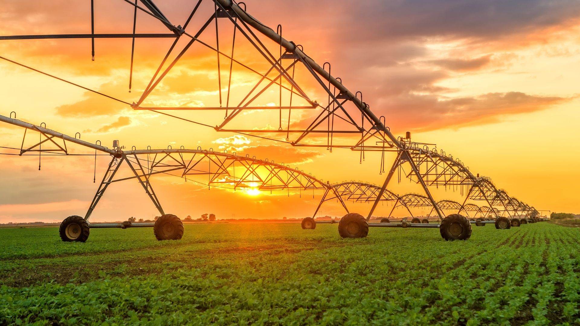 Water Law - Farrell Goode Solicitors